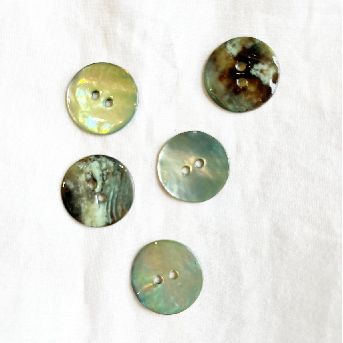 Dyed Agoya Shell Button – The Mermaid's Purl